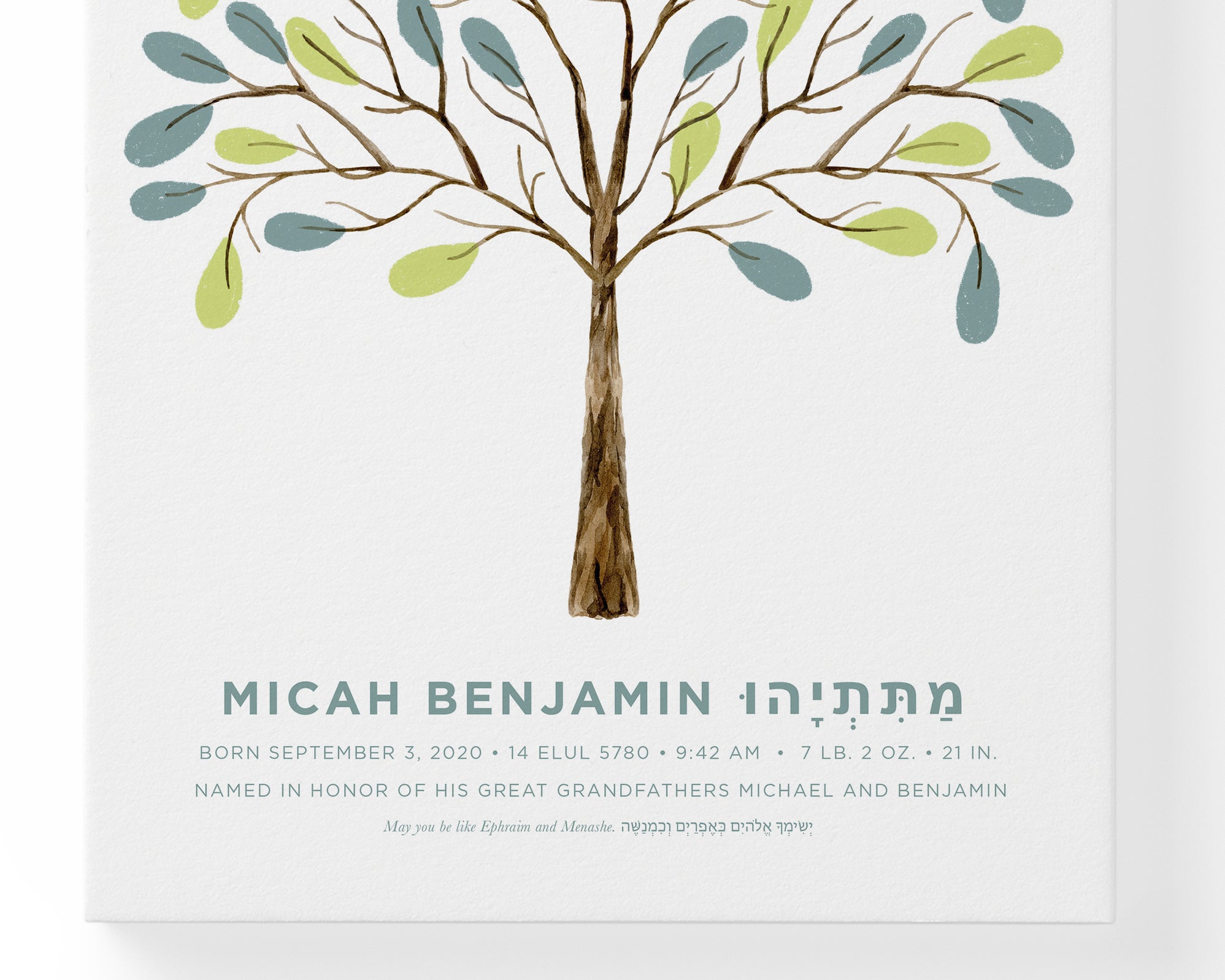 Customizable Leafy Tree of Life Art Print – Modern Mitzvah